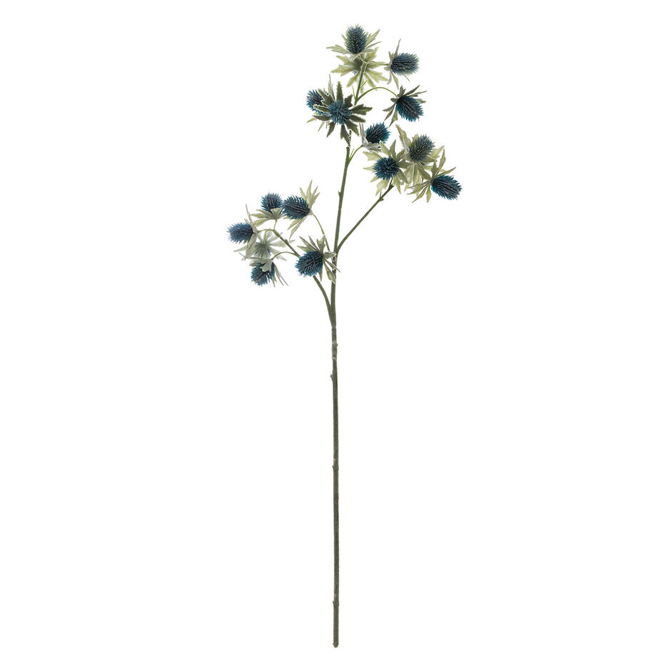 Haste Eryngium Inverno Azul 70cm | atmosphera | hôma