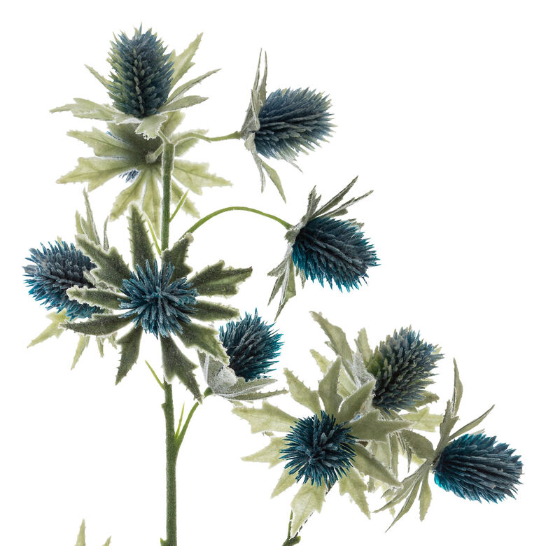 Haste Eryngium Inverno Azul 70cm | atmosphera | hôma