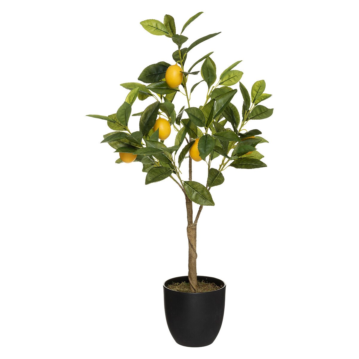 Planta limoeiro artificial com vaso 73cm | atmosphera | hôma