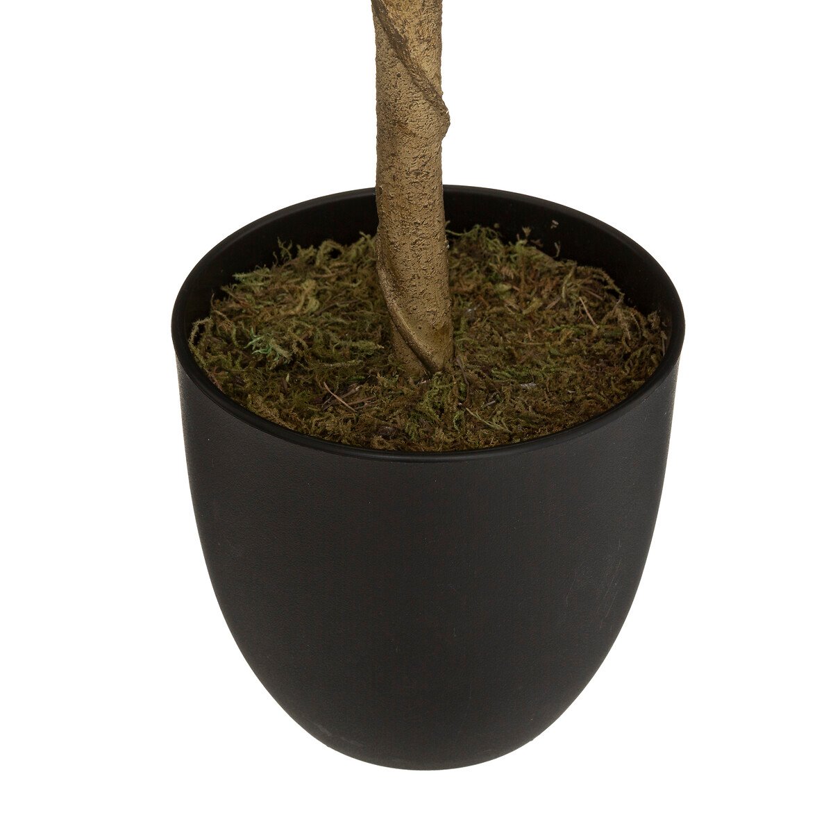 Planta Limoeiro Artificial Com Vaso 73cm | atmosphera | hôma
